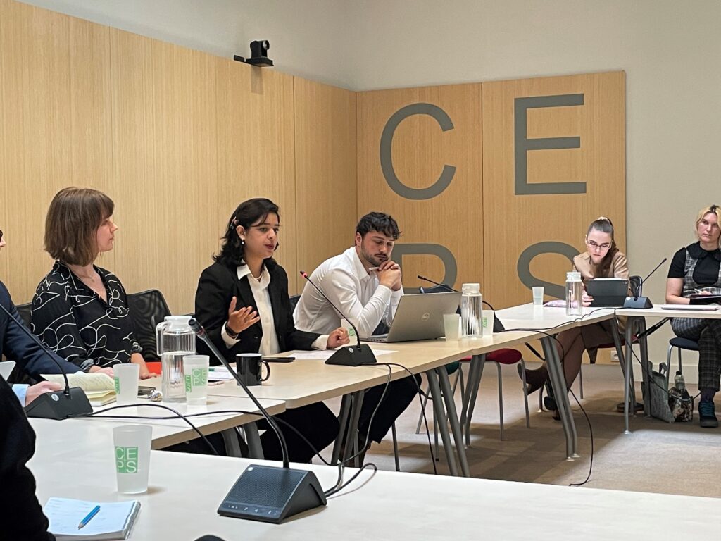 Brussels Policy Seminar 2023: Report - Europaeum