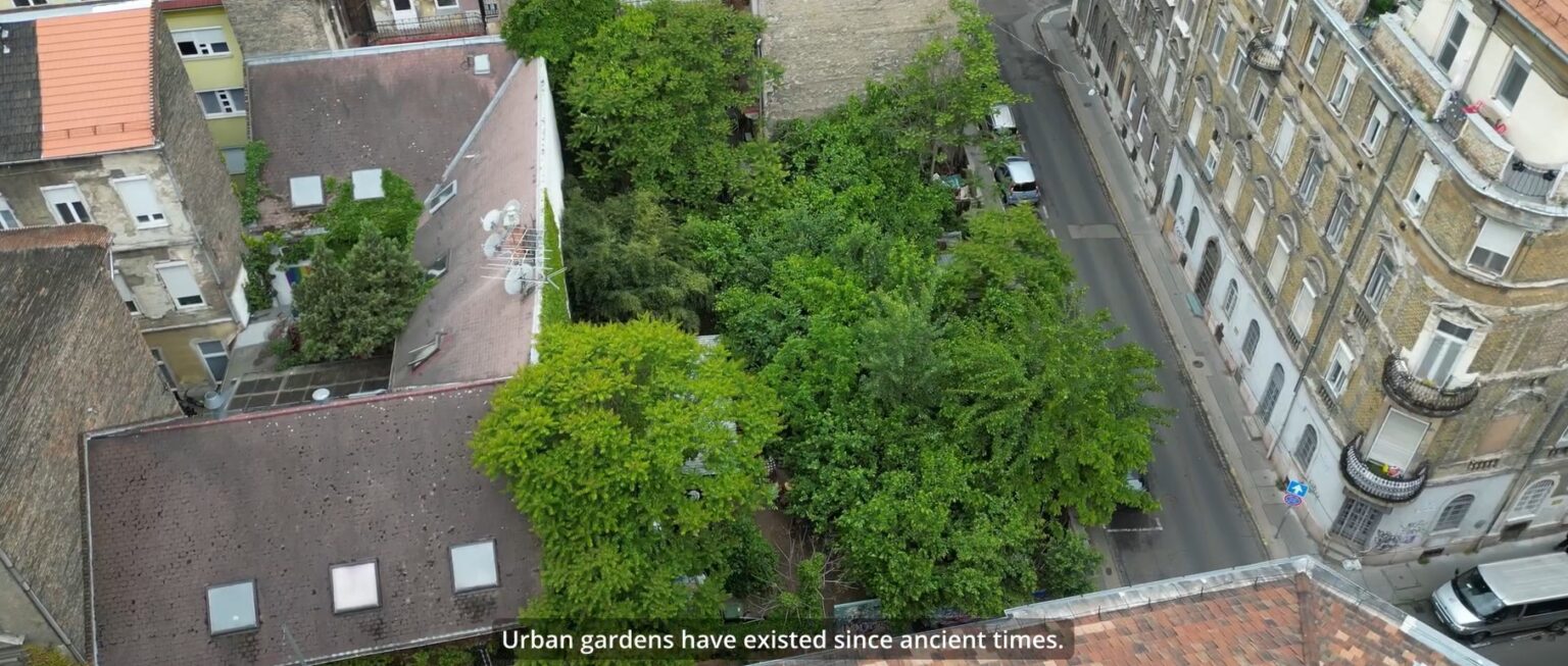 Green Together group's Urban Gardens documentary - Europaeum